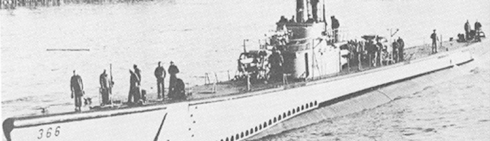 Hawkbill vs Momo – Patrol Reports